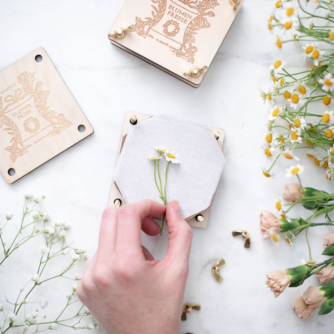 Good Neighbour | Kindered Lands Miniature Flower Press Kit